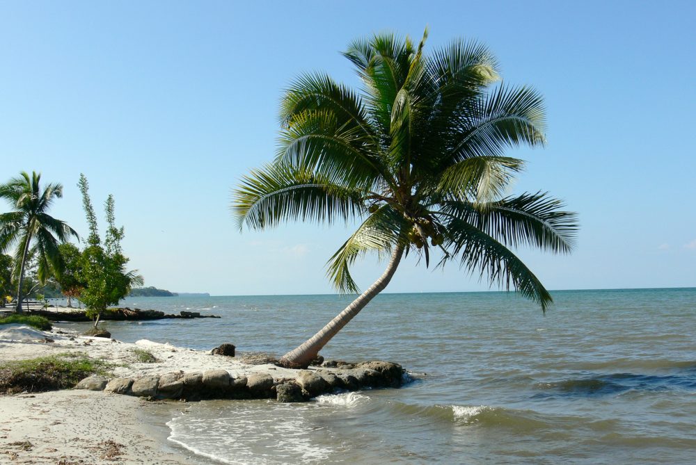 Punta de Palma, Puerto Barrios, Izabal Guatemala | Guatemala Bella